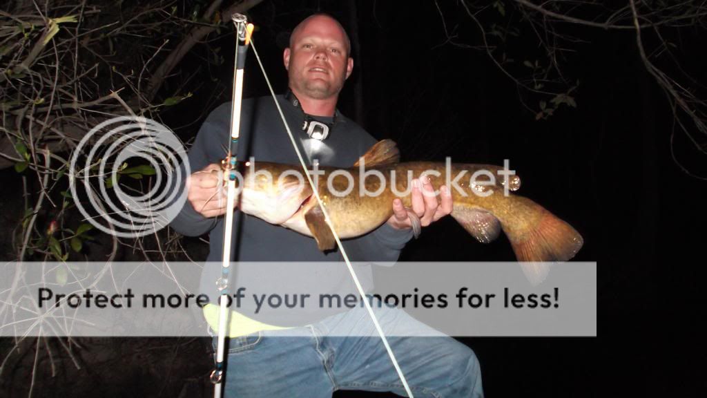 Perdido River Flatheads | Pensacola Fishing Forum