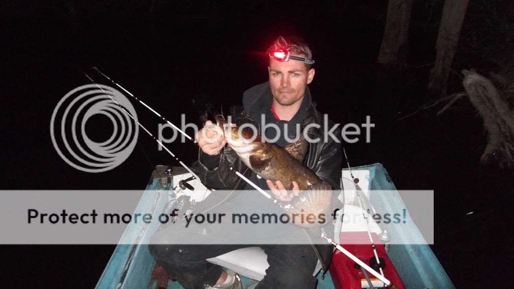 Perdido River Flatheads | Pensacola Fishing Forum